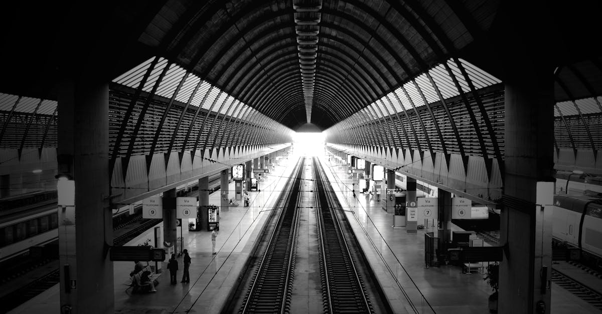 Découvrez la gare française la plus fréquentée après Paris, qui a ...